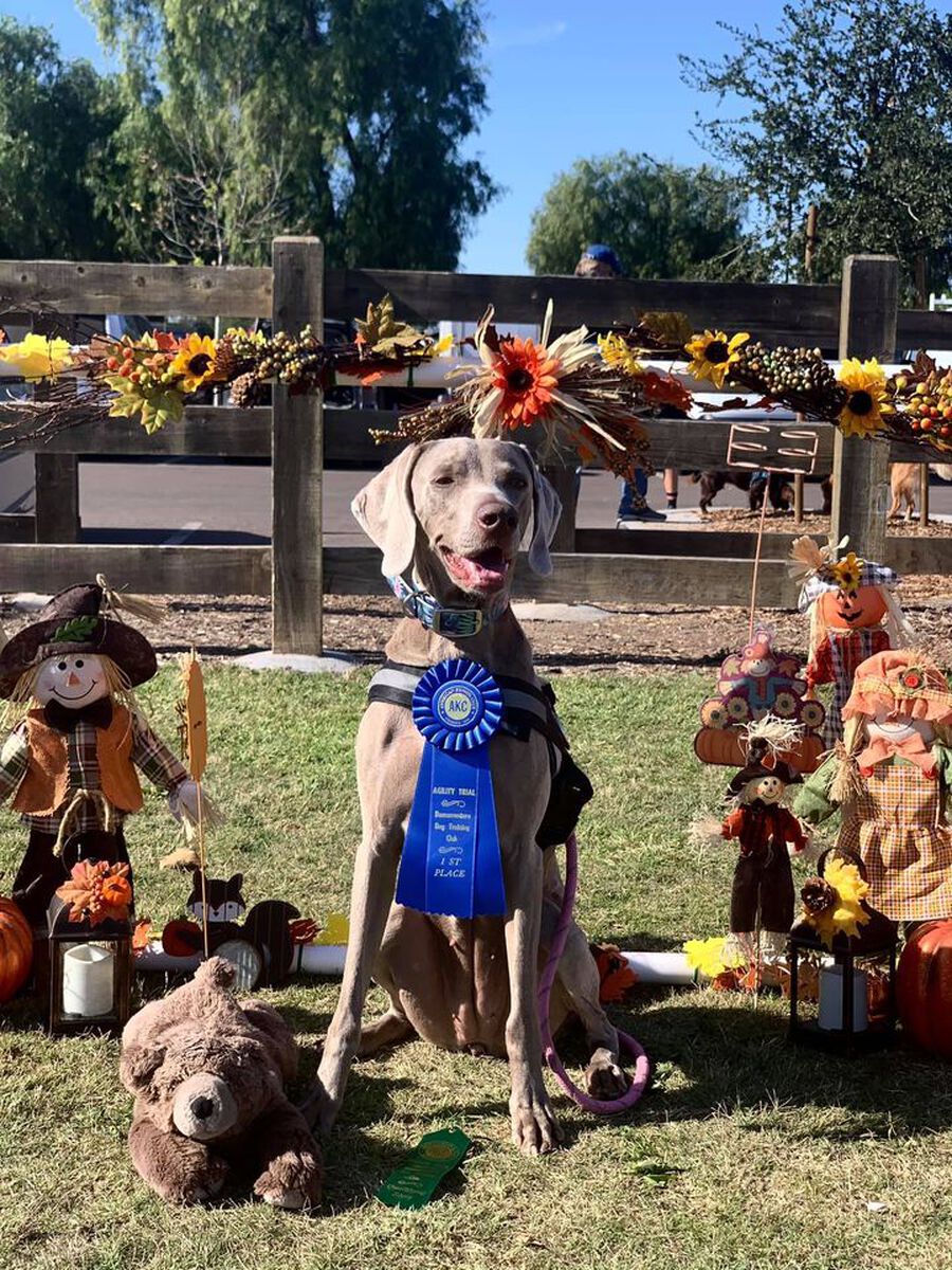 MACH Trax Audrey Rose RN SH FDC MXB MJS MXP3 MXPB MJP3 MJPB PAX OF CAA ...